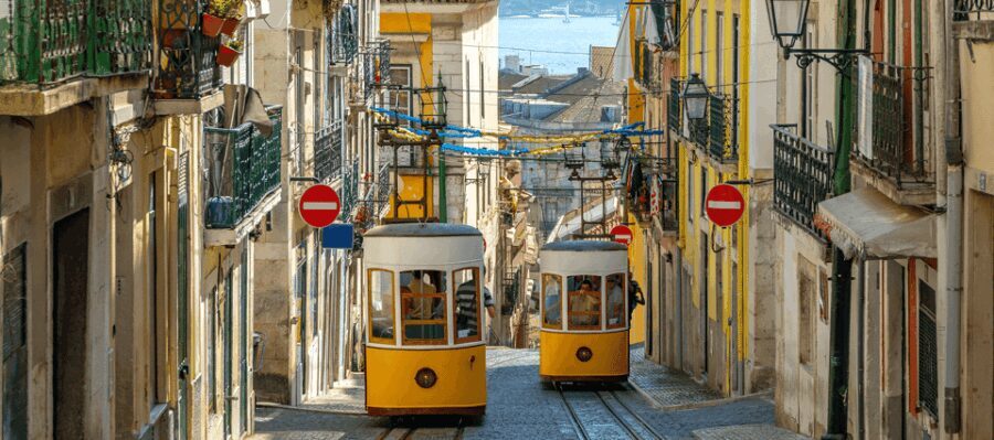 Lisbon: Private Full Day Lisbon City Tour with a Local - Authentic Insights from Past Travelers