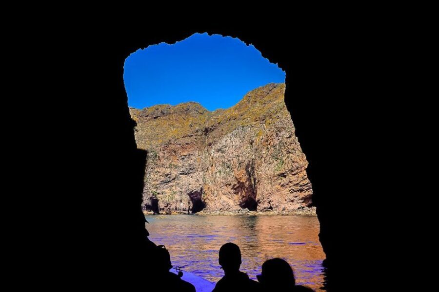 Lisbon: Private Full Day Tour to Berlengas Island - Who Will Love This Tour?