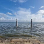 Lisbon: Private Morning Food Tour with Tastings - The Sum Up