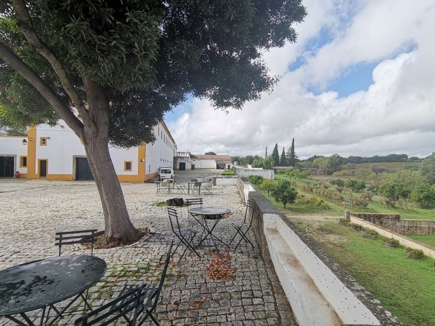 Lisbon: Private Tour Evora with Wine Tasting at the Cartuxa - Who This Tour Is Best For