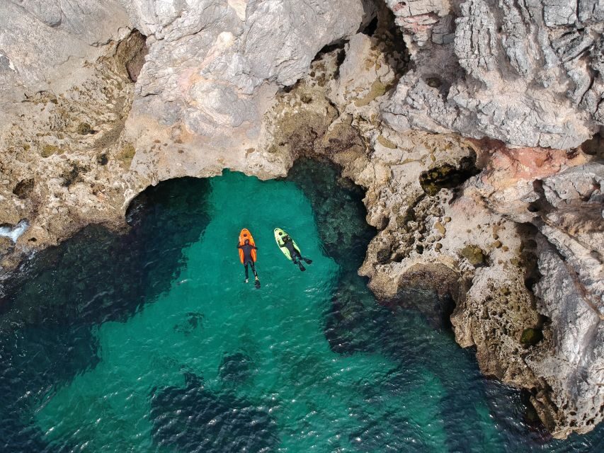 Lisbon: Sesimbra Underwater Exploration by Seaview Board - What Sets This Tour Apart