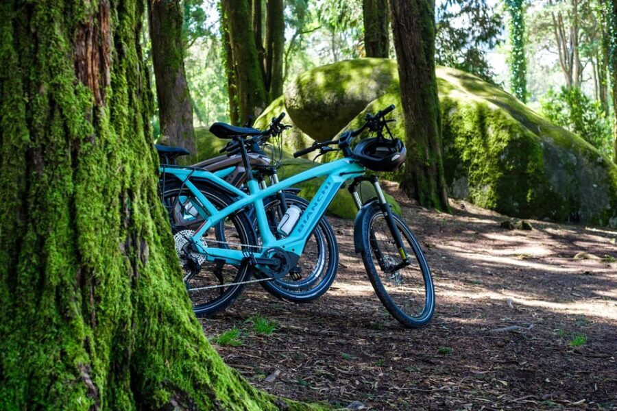 Lisbon: Sintra, Cascais, Cabo da Roca by E-Bike + Transfer - What to Expect Day-to-Day