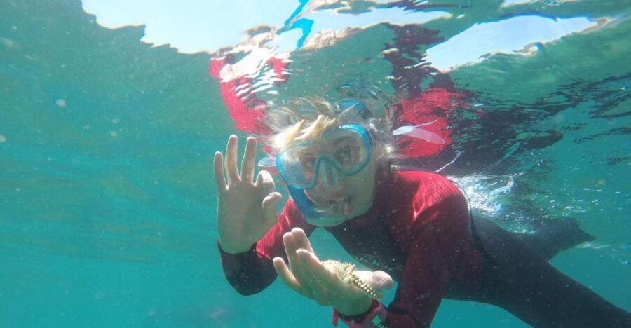 Lisbon: Snorkelling in Sesimbra/Arrábida Natural Park - Practical Tips for a Smooth Experience
