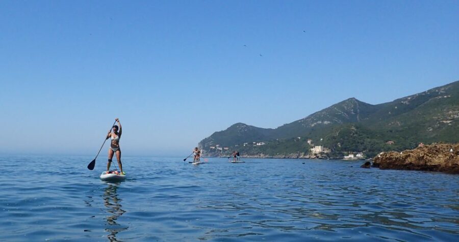 Lisbon: Stand Up Paddle Lesson in Arrábida, Setubal,Sesimbra - Exploring the Experience: What You Get and What It Means for You