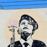 Lisbon: Street Art and Historical Walking Tour - Starting Point: Miradouro da Graça