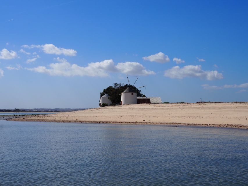 Lisbon: Tagus Estuary Nature Reserve Birdwatching Boat Tour - The Itinerary Breakdown