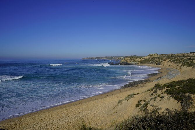 Lisbon to Algarve with stops along the coast - What Makes This Tour Stand Out