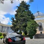 Lisbon to Sevile Transfer - Authentic Experiences and Passenger Satisfaction