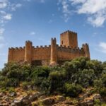 Lisbon: Tomar & Almourol Castle Private Day Trip with Local - What Makes This Tour Stand Out
