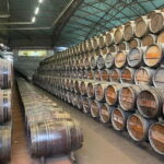 Lisbon: Tour Cristo Rei, Setúbal, Arrábida, Azeitão, Palmela - The Full Lowdown: A Detailed Breakdown
