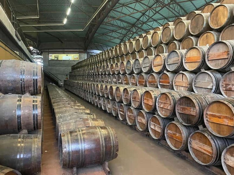 Lisbon: Tour Cristo Rei, Setúbal, Arrábida, Azeitão, Palmela - The Full Lowdown: A Detailed Breakdown