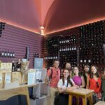 Lisbon: Traditional Food Tour with Wine Tasting - Who Will Enjoy This Tour?