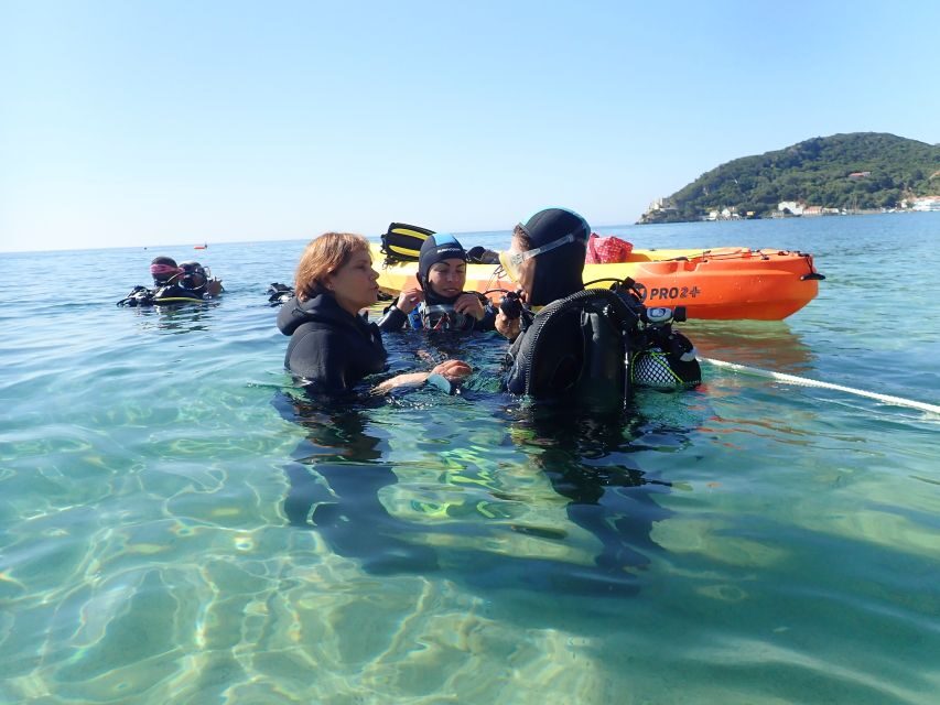 Lisbon: Try Dive in Arrábida Marine Reserve Setubal Sesimbra - The Cost and What You’re Getting
