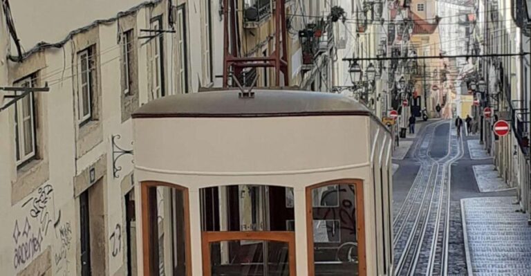 Lisbon Tuk Tuk Tour through the 7 hills - Who Is This Tour Best For?