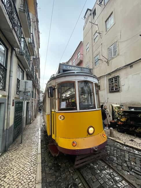 Lisbon: Walking Tour with Historic Tram 28 Ride & Tastings - A Deep Dive into the Tour Experience