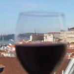 Lisbon Wine and Food: Private Walking Tour - The Guide and Atmosphere