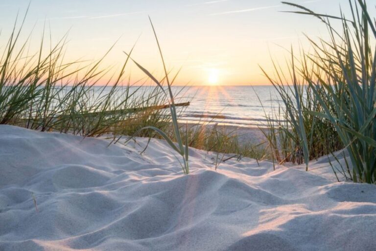 Lisse: Drive-it-Yourself Electric Dune & Beach Audio Tour - What’s the Experience Like?