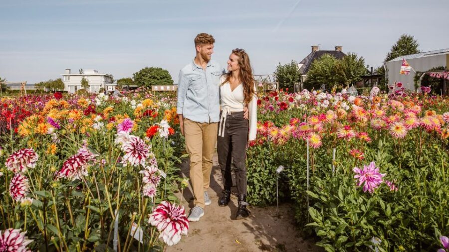 Lisse: Drive-it-Yourself Summer Flower GPS Audio Tour - The Practicalities: What to Expect and Tips
