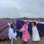 Lisse: Private Tulip Fields Tour with a Local Guide 1h Tour - The Experience Breakdown: A Closer Look