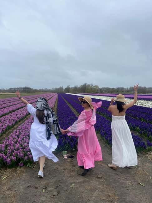 Lisse: Private Tulip Fields Tour with a Local Guide 1h Tour - The Experience Breakdown: A Closer Look