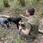 Livade: Guided Truffle Hunting Walking Tour - Practical Details & What You Need to Know