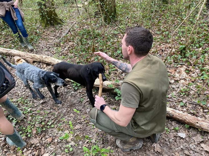 Livade: Guided Truffle Hunting Walking Tour - Practical Details & What You Need to Know