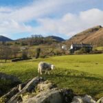 Liverpool: Lake District Tour with Lake Cruise & Train Ride - A Closer Look at the Itinerary and Experiences