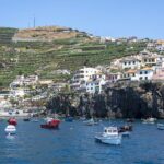 Living Sea Boat Trip in Madeira from Funchal - What Travelers Say