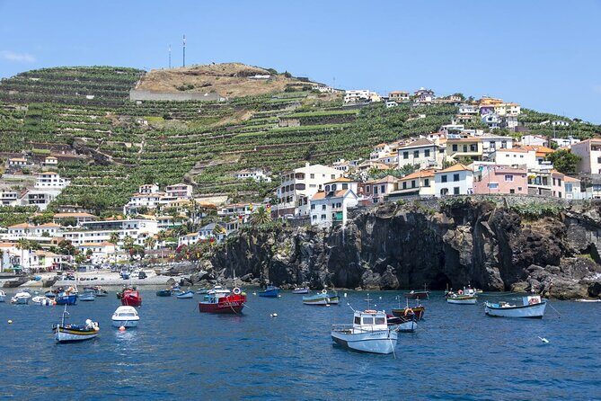 Living Sea Boat Trip in Madeira from Funchal - What Travelers Say