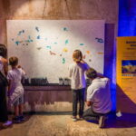 Living van Gogh  The Immersive & Interactive Experience - Interactive Installations: Beyond Watching Art