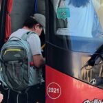 Livorno: 1 Day Hop-on Hop-off Bus Ticket Experience - What to Expect at Each Stop