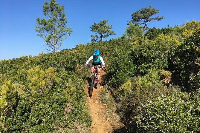 Lizandro Trails - Mountain Biking - Why This Tour Works for You