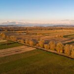 Ljubljana's Marshes Cycling Tour - The Itinerary in Detail