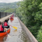 Llangollen: Aqueduct Canoe Tour Adventure - Wildlife and Nature: What You Might See