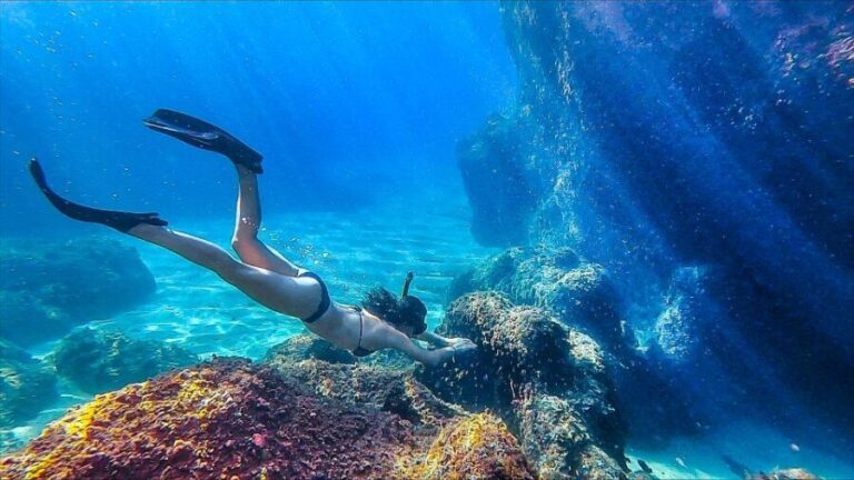 Lloret de Mar: 3-Hour Kayak and Snorkel Tour on Costa Brava - Pricing & Value Analysis
