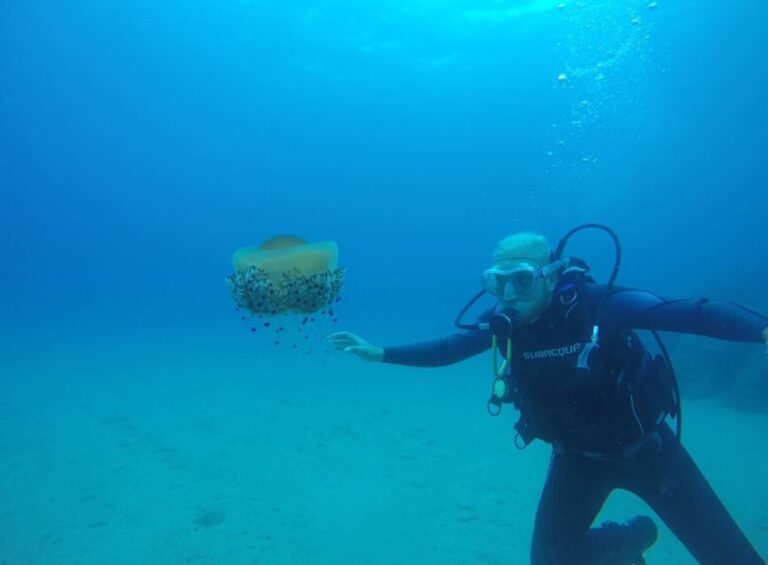 Lloret de Mar: Scuba Diving Experience no License Required - Practical Considerations
