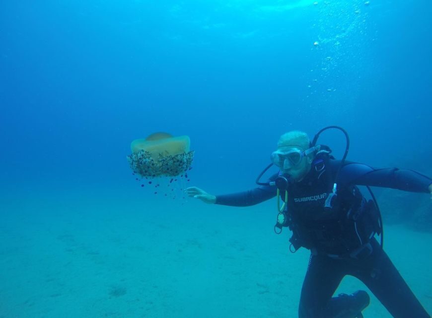 Lloret de Mar: Scuba Diving Experience no License Required - Practical Considerations