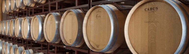 Llucmajor: Bodegas Bordoy Wine Tour - The Sum Up