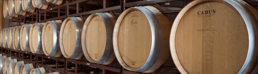 Llucmajor: Bodegas Bordoy Wine Tour - The Sum Up
