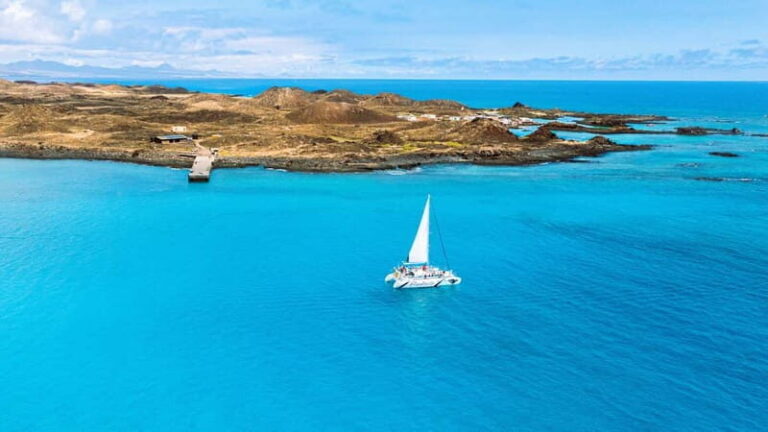 Lobos Island: 4-Hour Catamaran Trip with Lunch - The Itinerary in Detail