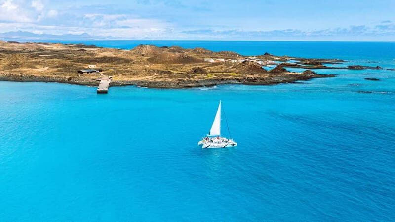 Lobos Island: 4-Hour Catamaran Trip with Lunch - The Itinerary in Detail