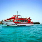 Lobos Island: Ferry + Mini Submarine Cruise + free time - Practical Considerations and Tips