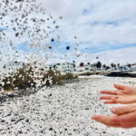 Lobos Island, Popcorn Beach, & Dunes Tour - The Itinerary in Detail