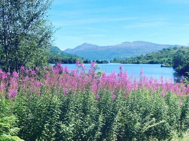 Loch Katrine Ebike Tour - An Authentic Scottish Adventure on Two Wheels