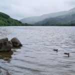 Loch Lomond and The Highlands Day Tour - Stop 1: Loch Lomond and Trossachs National Park