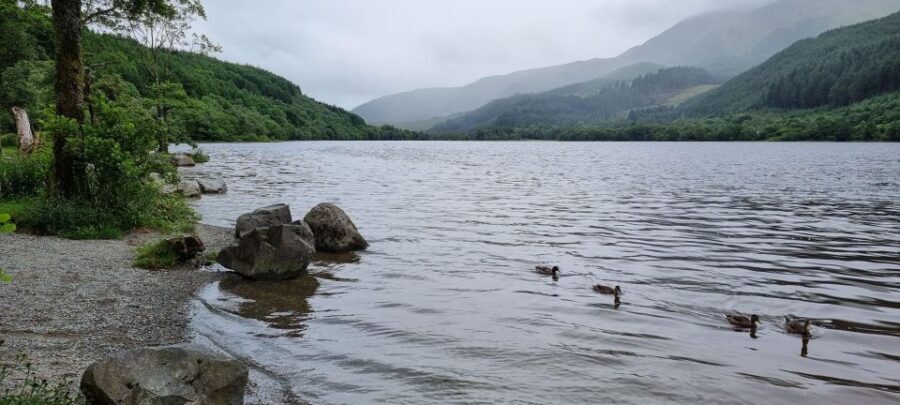 Loch Lomond and The Highlands Day Tour - Stop 1: Loch Lomond and Trossachs National Park