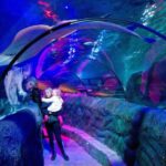 Loch Lomond: Sea Life Entrance Ticket - The Tour Logistics & Practical Tips