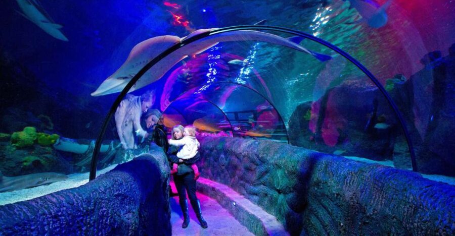 Loch Lomond: Sea Life Entrance Ticket - The Tour Logistics & Practical Tips