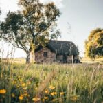 LOCH NESS, INVERNESS, CLAVA CAIRNS & MORE FROM INVERGORDON - A Thorough Breakdown of the Itinerary and What It Means for You