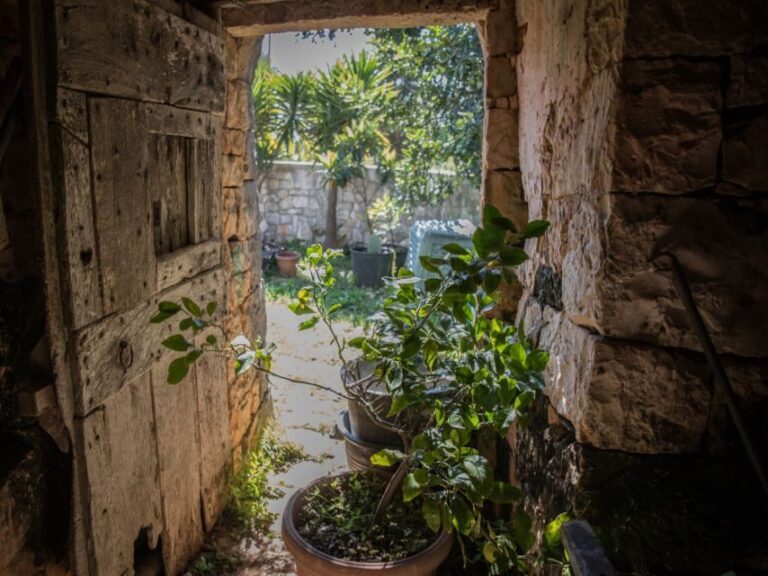 Locorotondo: Guided E-bike Tour with Olive Oil Tasting - What Sets This Tour Apart
